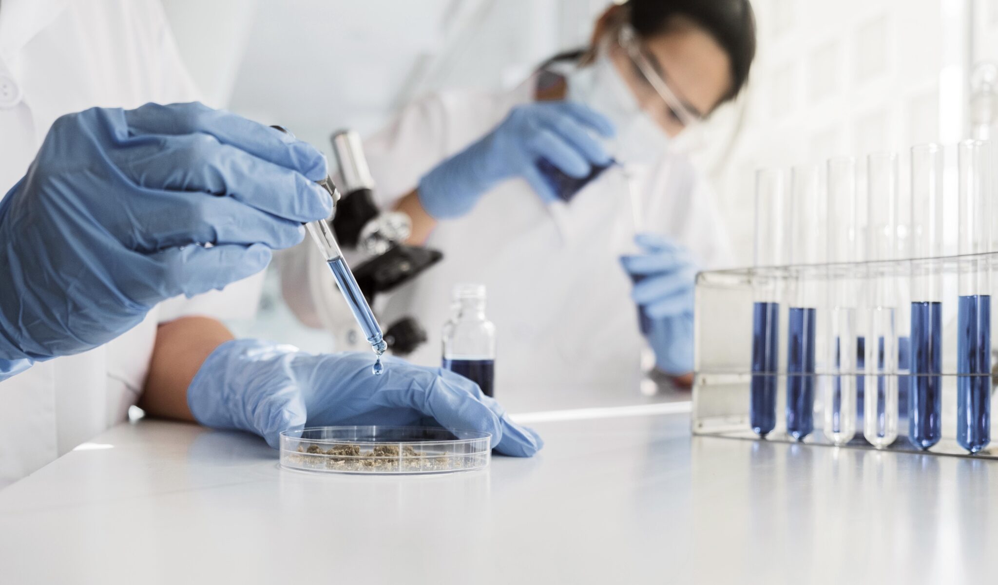 Sample Preparation Services| Terra Mineral Lab